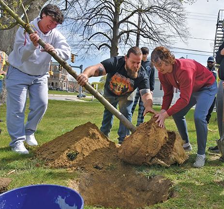 Students, tree department, plant trees for Arbor Day - Fairhaven ...