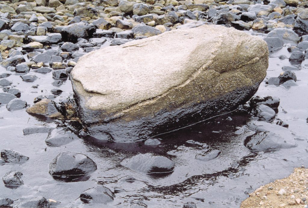 Bouchard Oil Spill...20 years ago - Fairhaven Neighborhood News